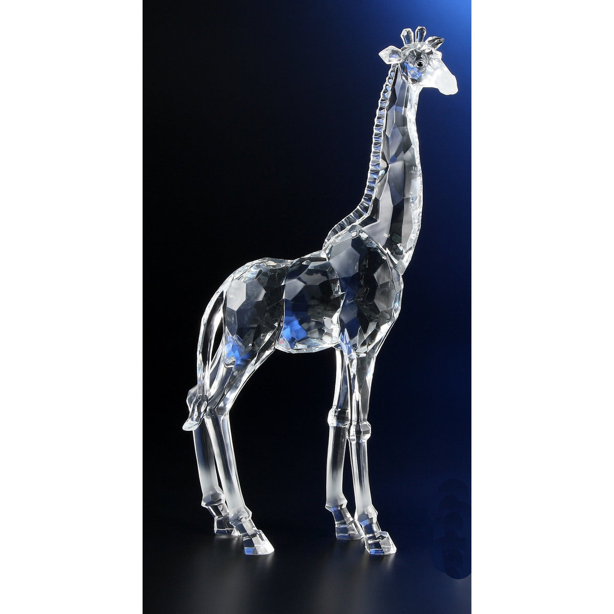 91006a-5faec4fbeda32_1200x1200.jpg?v=1605289428